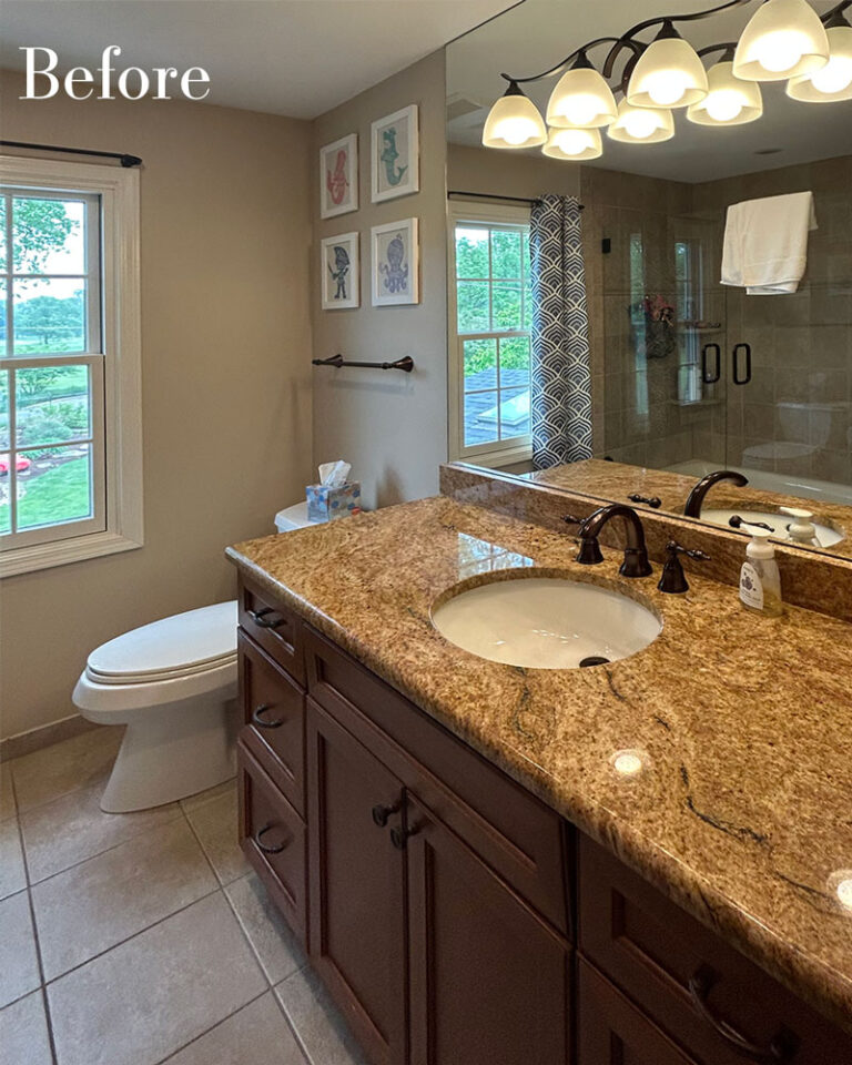 Kid-Friendly Hall Bathroom Design - Glen Ellyn, IL - Drury Design